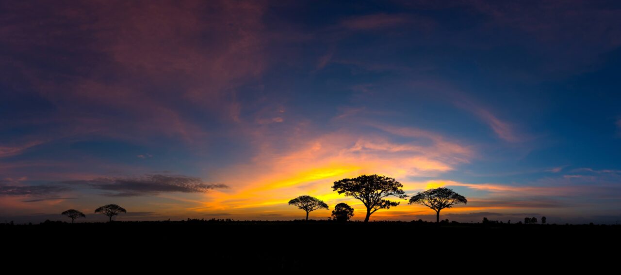 ASCOMA - Insurance Advisor & Broker