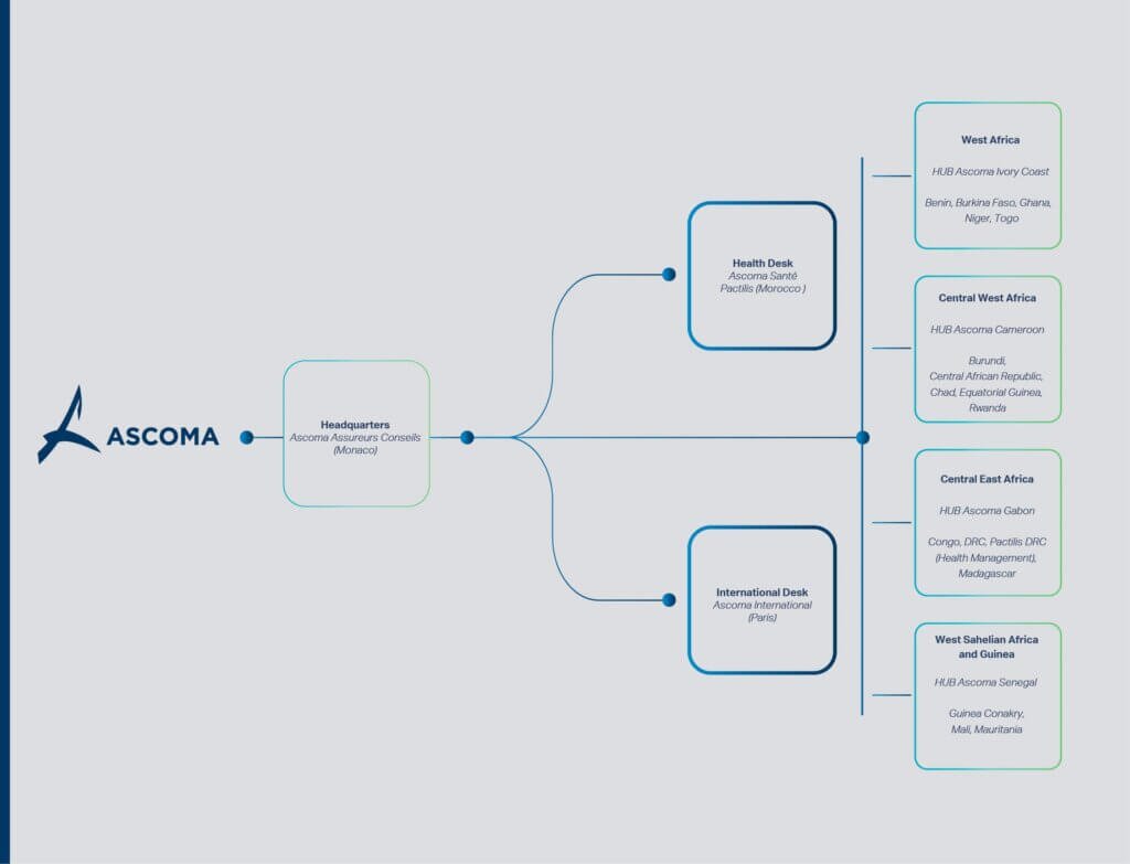 Ascoma organization