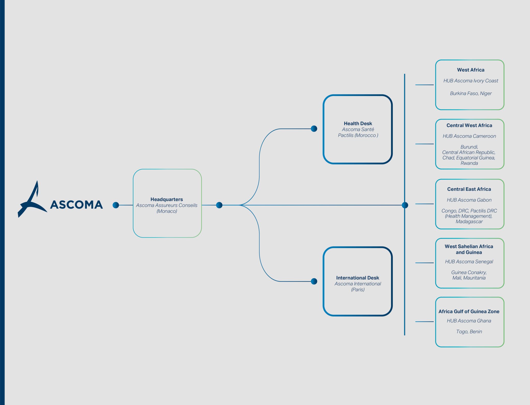 Ascoma organisation